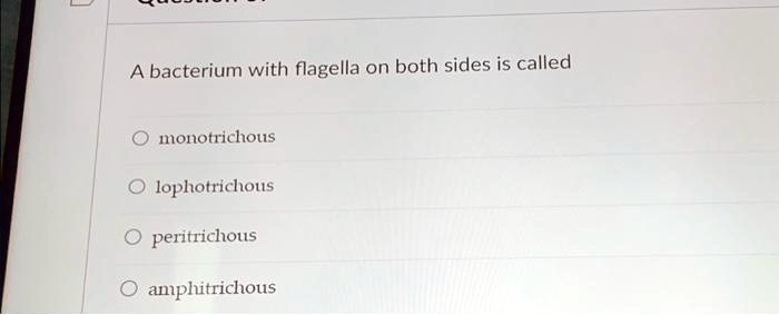 SOLVED: A bacterium with flagella on both sides is called O ...