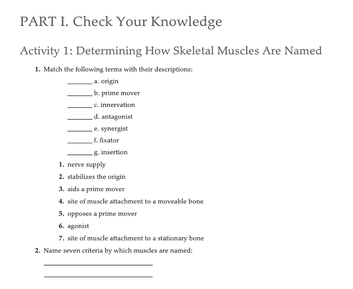 PART I. Check Your Knowledge Activity 1: Determining How Skeletal Muscles Are Named 1. Match the ...