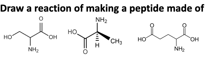 SOLVED: Draw a reaction of making a peptide made of NH2 HO HO OH CH3 HO ...