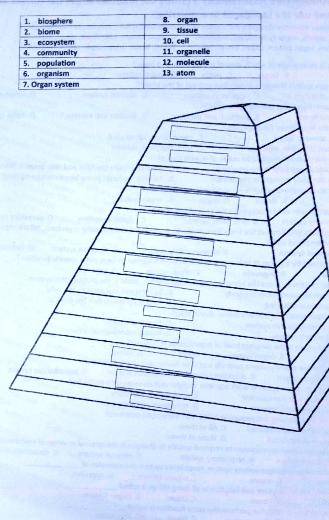 SOLVED: The figure below is a pyramid. Put the levels of biological ...