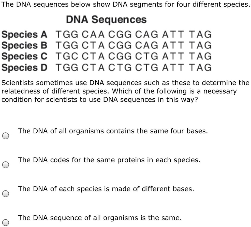 Solved Help Me Quickkk The Dna Sequences Below Show Dna Segments For Four Different Species 