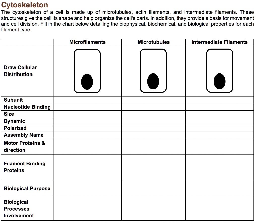 SOLVED: Cytoskeleton The cytoskeleton of a cell is made up of ...