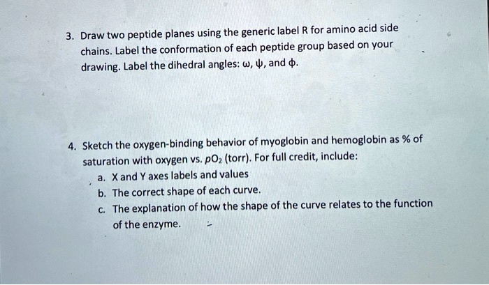 draw two peptide planes using the generic label r for amino acid side ...