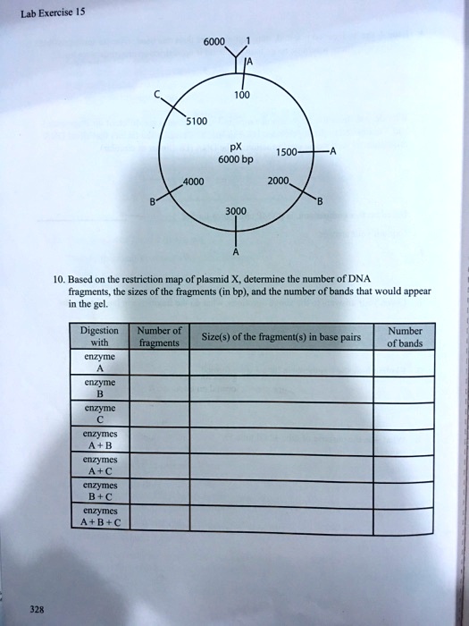 SOLVED: Lab Exercise 15 6000 100 5100 1500 6000 Dp 4000 2000 3000 10. Based on the restriction ...