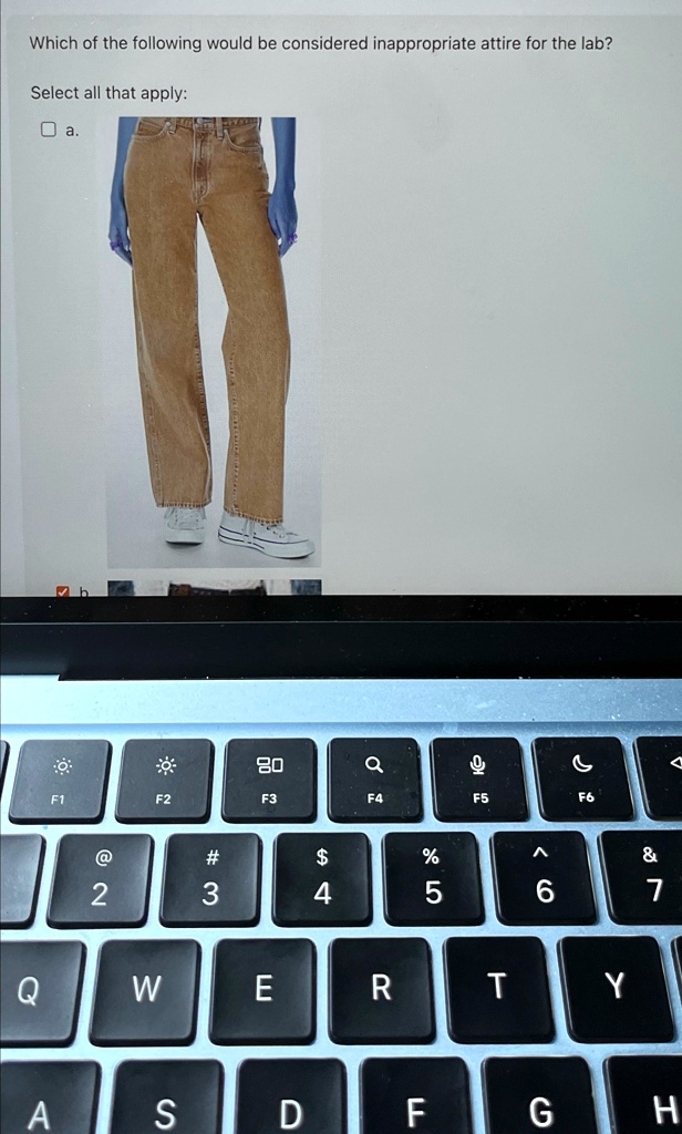 SOLVED: Which of the following would be considered inappropriate attire ...