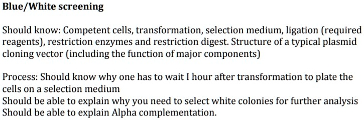blue white screening should know competent cells transformation ...