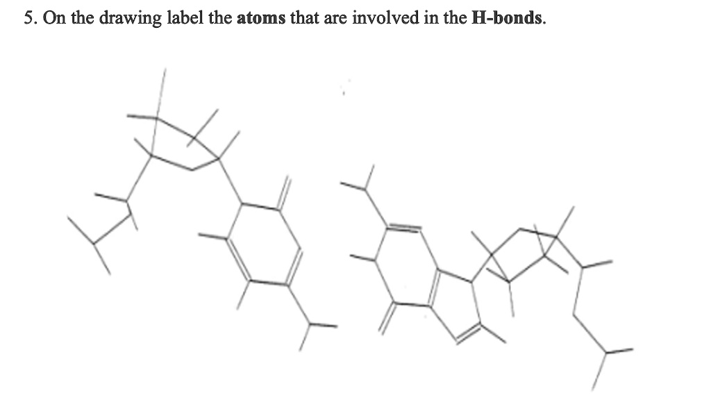 SOLVED: 5. On the drawing label the atoms that are involved in the H-bonds