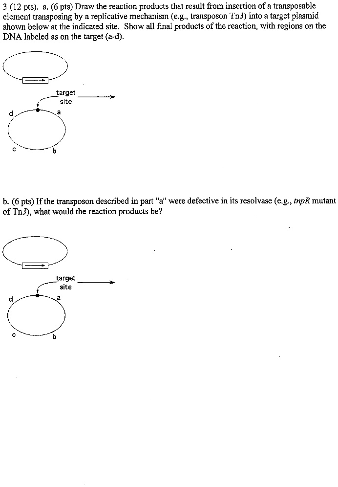 3 12 pts 6 pts draw the reaction products that result from insertion of ...