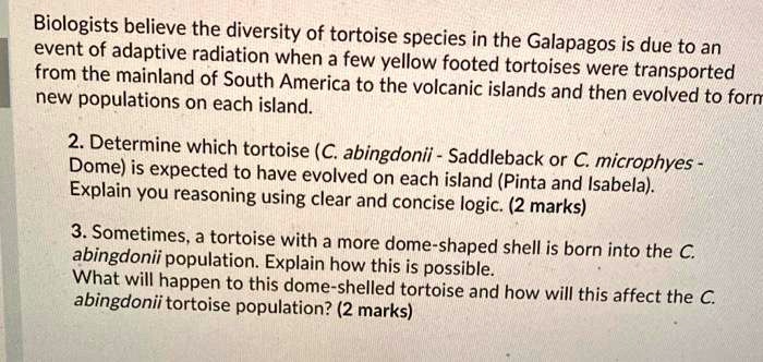 SOLVED: BiclogistsGelitive the diversity of tortoise species in the ...