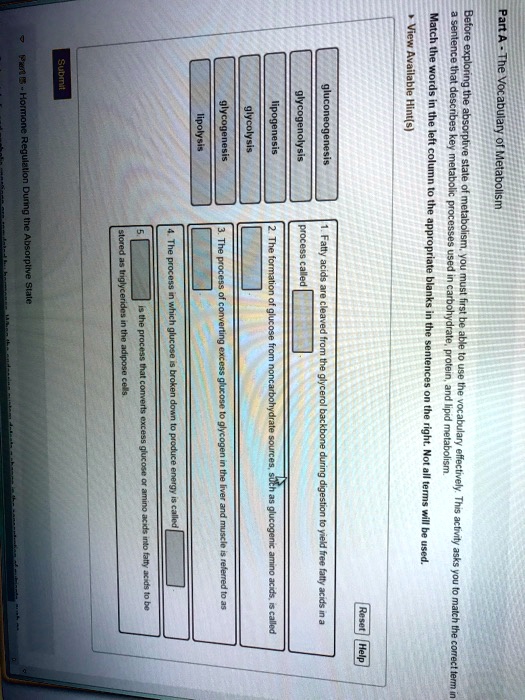 match the words in left column to the appropriate blanks in the ...