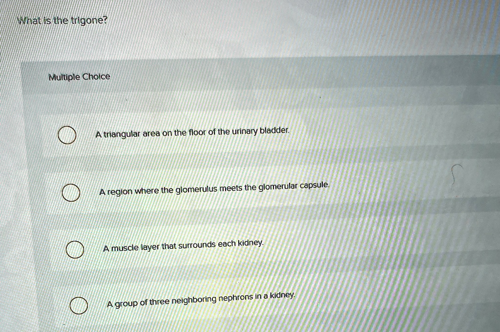 what is the trigone multiple choice a triangular area on the floor of ...