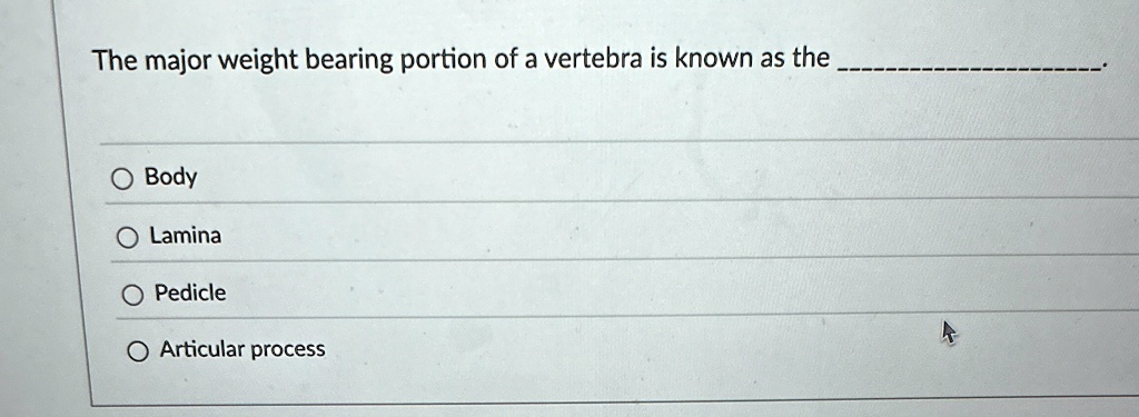 the major weight bearing portion of a vertebra is known as the o body o ...