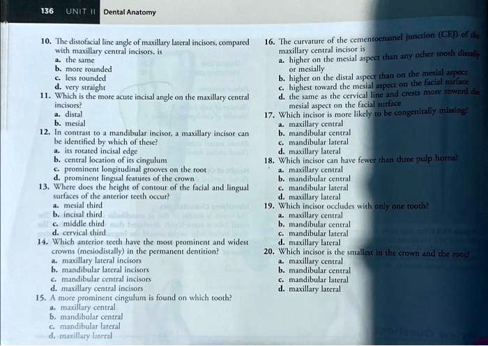SOLVED: Texts: 136 UNIT II Dental Anatomy 10. The distofacial line ...