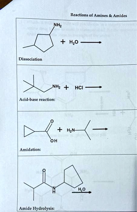 SOLVED: Reactions of Amines Amides H2O Dissociation HCl Acid-base ...
