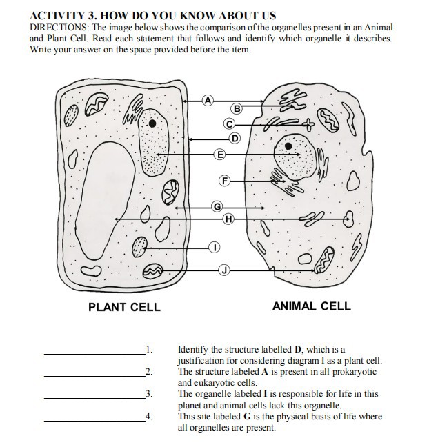 activity 3 how do you know about us directions the image below shows ...