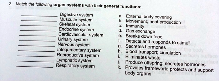 SOLVED: 2. Match the following organ systems with their general ...