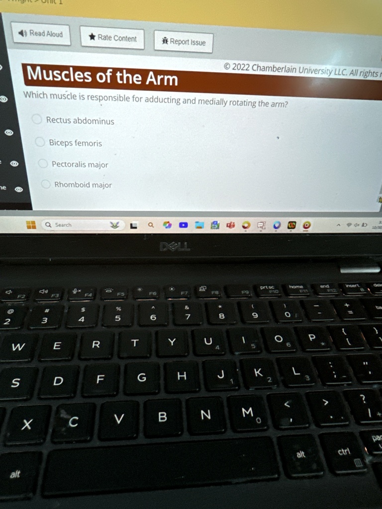 Muscles of the Arm Which muscle is responsible for adducting and ...