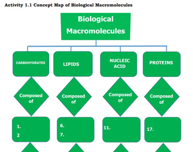 Activity 1.1 Concept Map of Biological Macromolecules