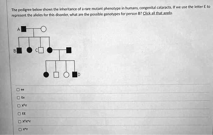 SOLVED: The pedigree below shows the inheritance of a rare mutant phenotype in humans ...