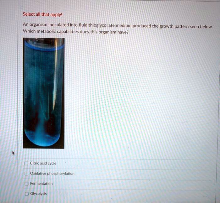 SOLVED: Select all that apply? An organism inoculated into fluid ...