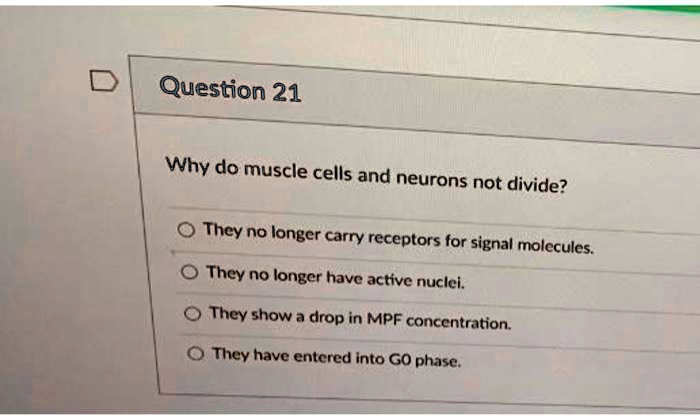 Question 21 Why do muscle cells and neurons not divide? They no longer ...