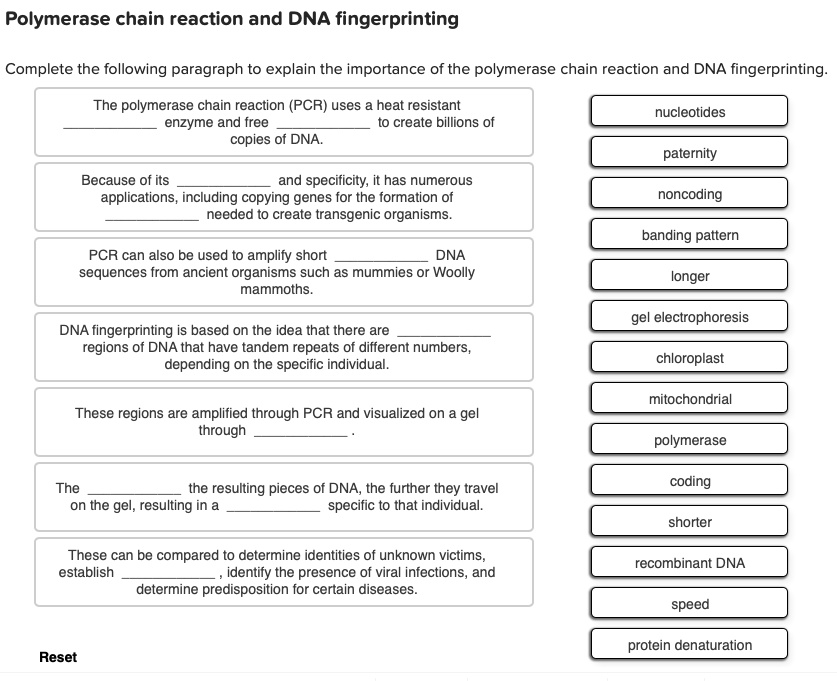 polymerase chain reaction and dna fingerprinting complete the following ...