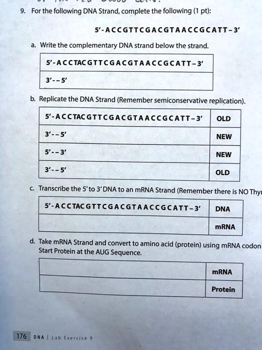 SOLVED: For the following DNA Strand, complete the following pt: 5 ...