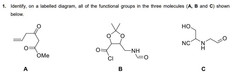 1. Identify, on a labelled diagram, all of the functional groups in the ...