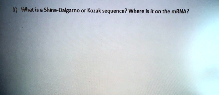 SOLVED: What is a Shine-Dalgarno or Kozak sequence? Where is it on the ...