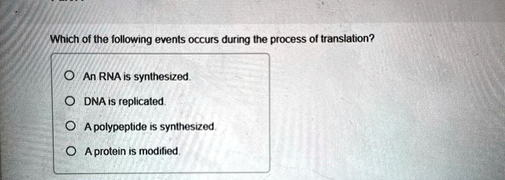 which of the following events occurs during the process of translation ...