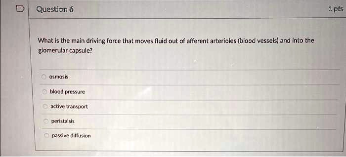 SOLVED: Question 6 1pts. What is the main driving force that moves ... SOLVED: Question 6 1pts. What is the main driving force that moves ...
