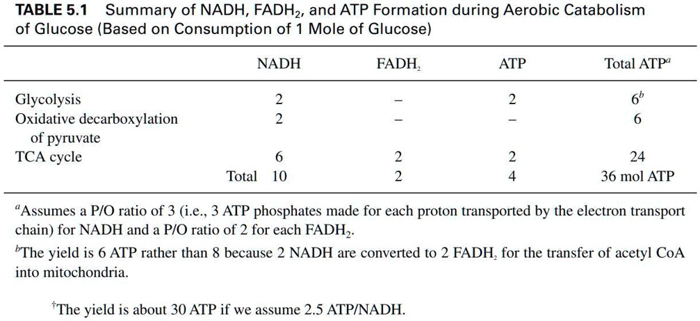 SOLVED: TABLE 5.1 Summary of NADH, FADH2, and ATP Formation during ...