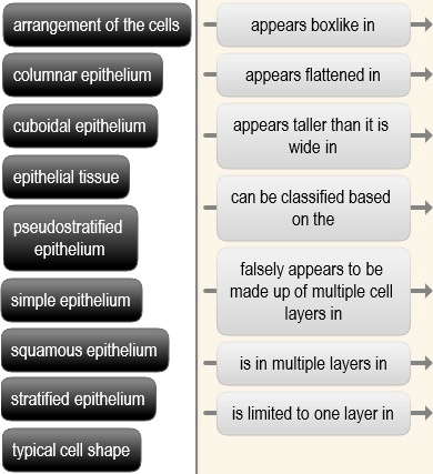 SOLVED: Using no more than 12 propositions, create a Concept Map to name, classify, and describe ...