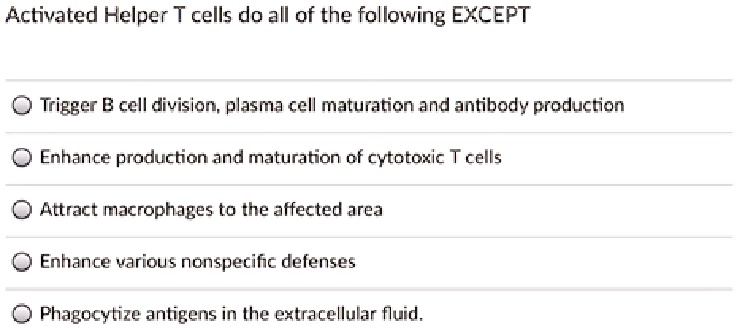 Activated Helper T cells do all of the following EXCEPT Trigger B cell ...