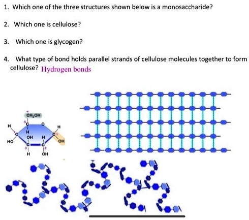 1. Which one of the three structures shown below is a monosaccharide? 2 ...