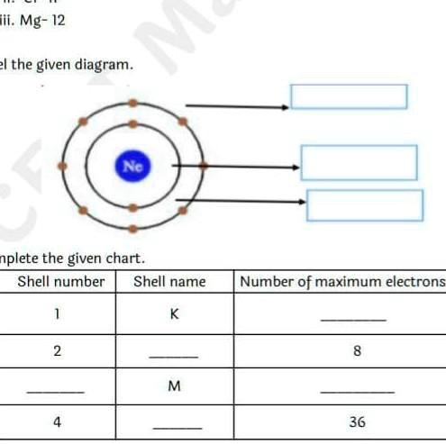 SOLVED: 'label the given diagram'