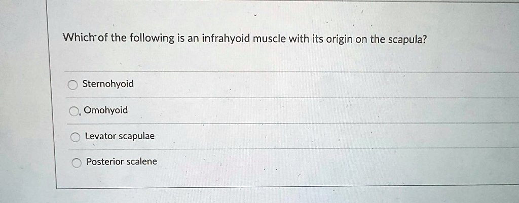 SOLVED: Which of the following is an infrahyoid muscle with its origin ...