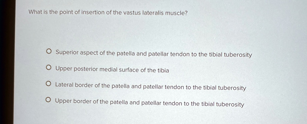 what is the point of insertion of the vastus lateralis muscle o ...