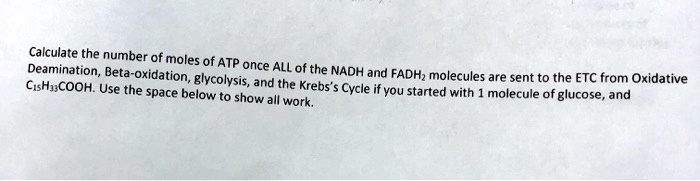 Calculate the number of moles of ATP once ALL of the NADH and FADH2 ...