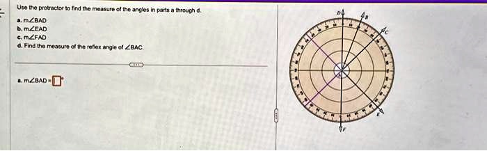 Use the protractor to find the measure of the angles in parts a through d. a. m?BAD b. m?EAD c ...