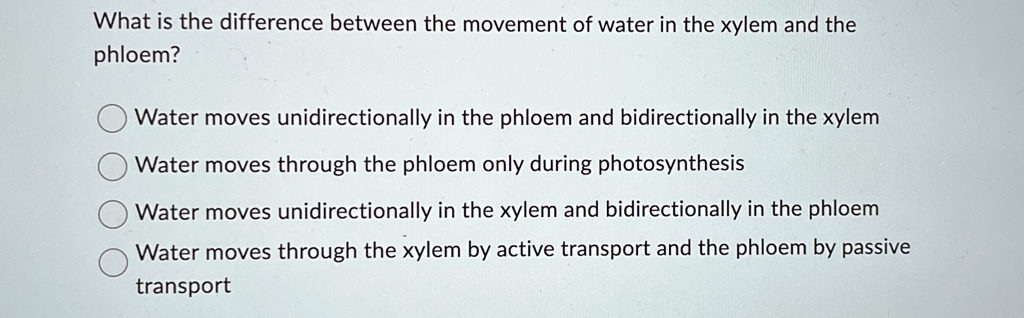 what is the difference between the movement of water in the xylem and ...