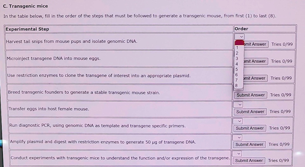 Solved C Transgenic Mice In The Table Below Fill In The Order Of The