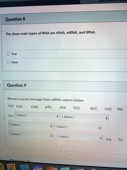 SOLVED: Question 8 The three main types of RNA are rRNA, mRNA, and tRNA ...