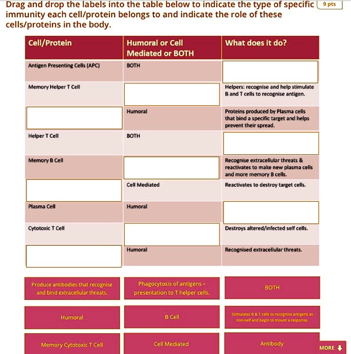 drag and drop the labels into the table below to indicate the type of ...