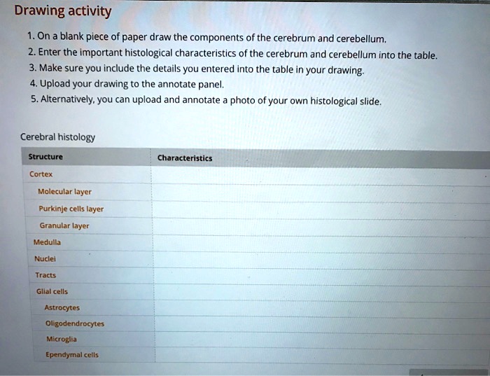 drawing activity on blank piece of paper draw the components of the ...