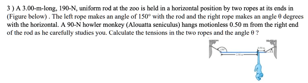 3 a 300 m long 190 n uniform rod at the zoo is held in a horizontal ...
