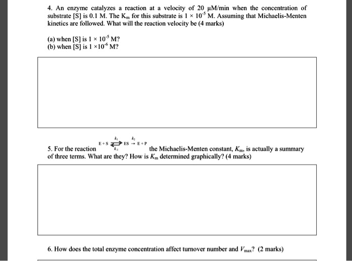 SOLVED: An enzyme catalyzes rcaction velocity of 20 AMmin when the ...