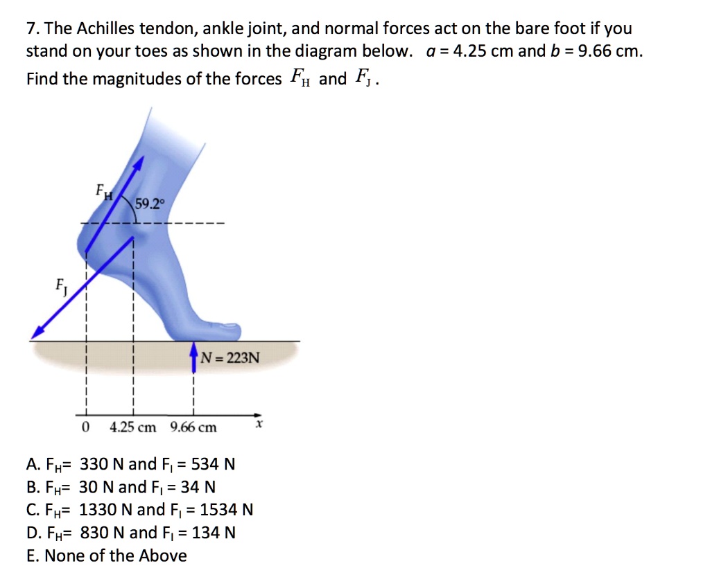 SOLVED: 7. The Achilles tendon, ankle joint, and normal forces act on ...