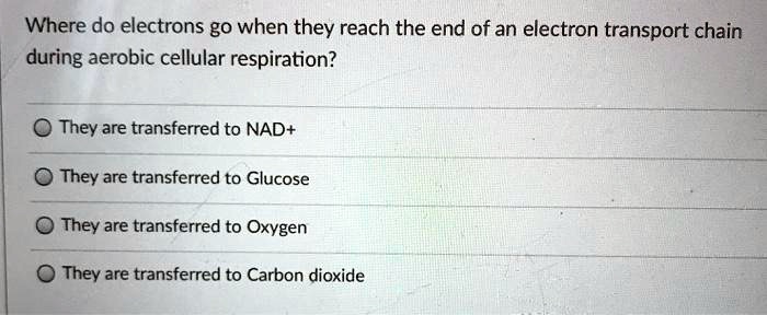 SOLVED: Where do electrons go when they reach the end ofan electron ...
