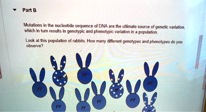 SOLVED: Part B Mutations in the nucleotide sequence of DNA are the ...